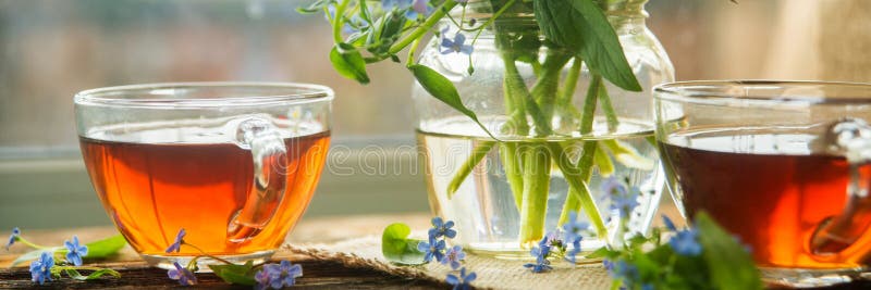 Two Cups of Tea and Summer Flowers Stock Photo - Image of bloom, glass ...