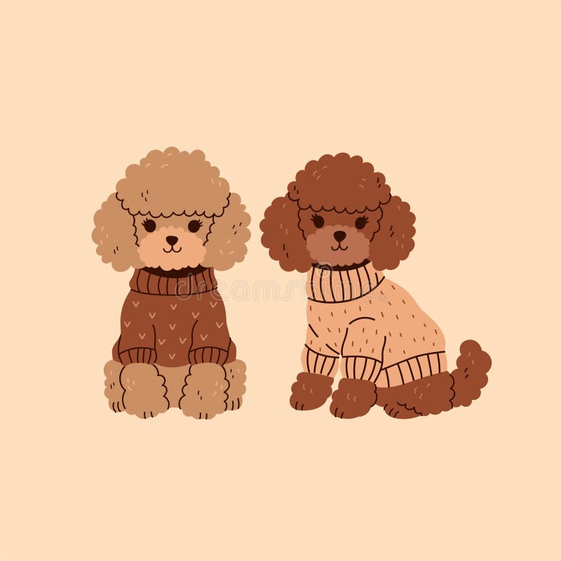 Two Cute Brown Miniature Poodles in Sweaters. Vector Graphics Stock ...