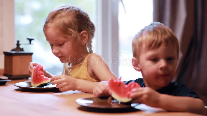Cute Brother And Sister Eat Ice Cream In The Woods During The