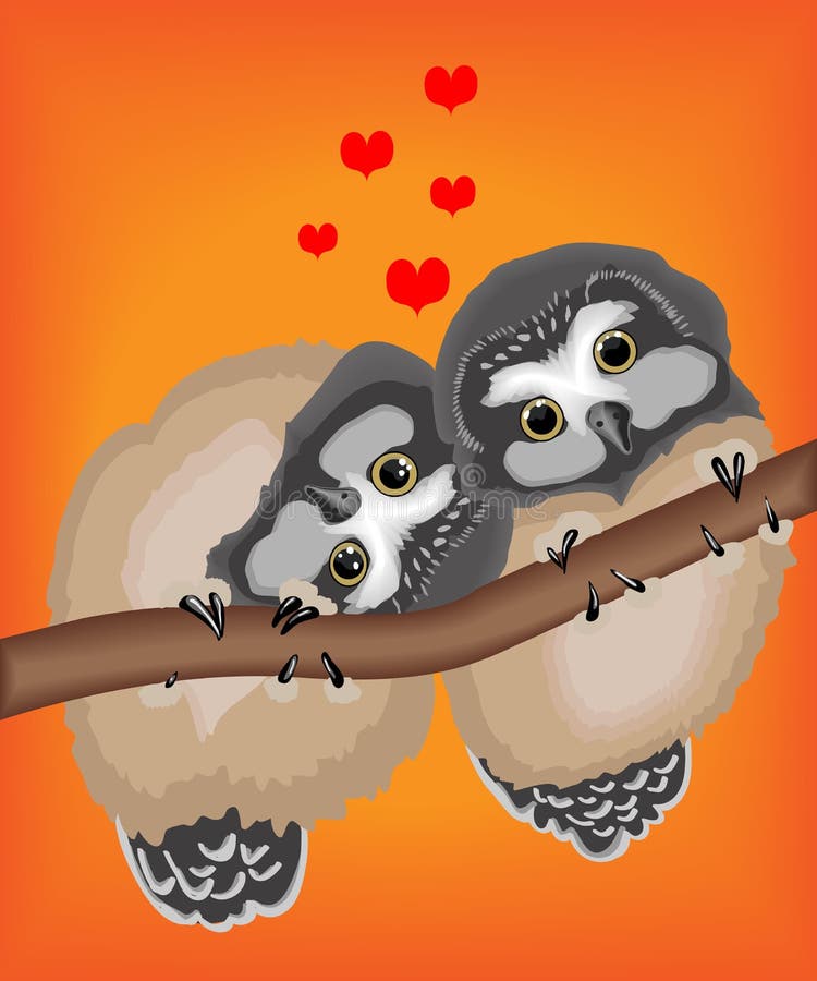 Two cute owls in love stock vector. Illustration of valentine - 47971824
