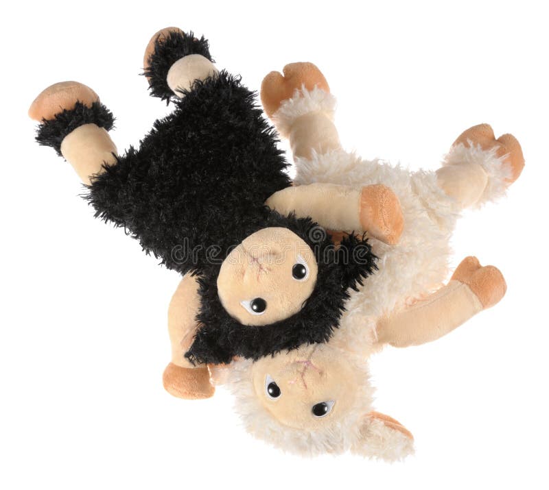 Two cute stuffed animals stock image. Image of nice, fabric - 28990945