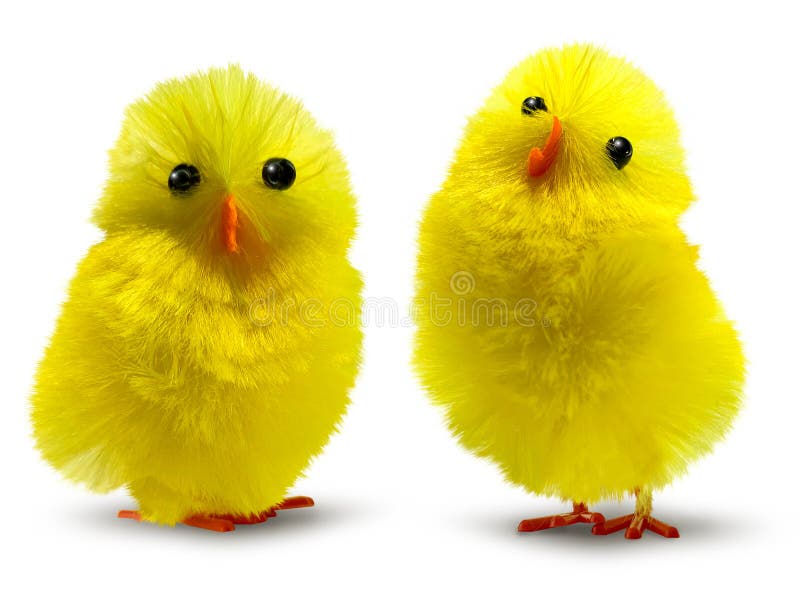 Two Cute Yellow Easter Decoration Chicks Isolated, Minimum Drop Shadow Stock Photo - Image of ...