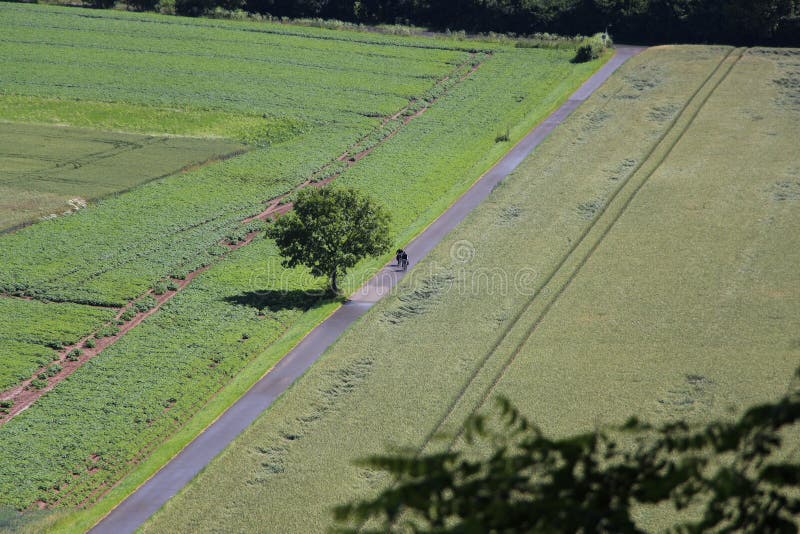 Two Cyclists on a Bike Path Stock Image - Image of path, bike: 44564679
