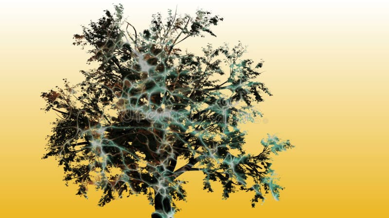 Two 3d Animation from Tree and Technology Interface Computer Data ...