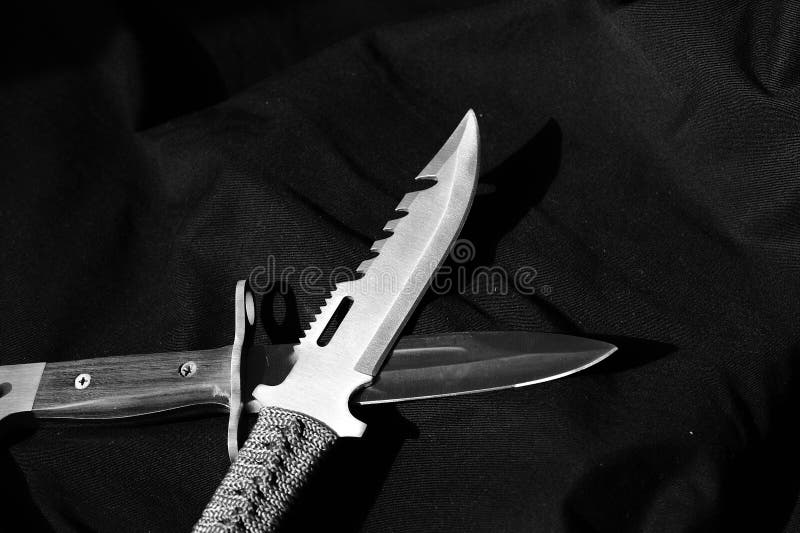 Two Daggers in Black and White Stock Photo - Image of crest, steel ...