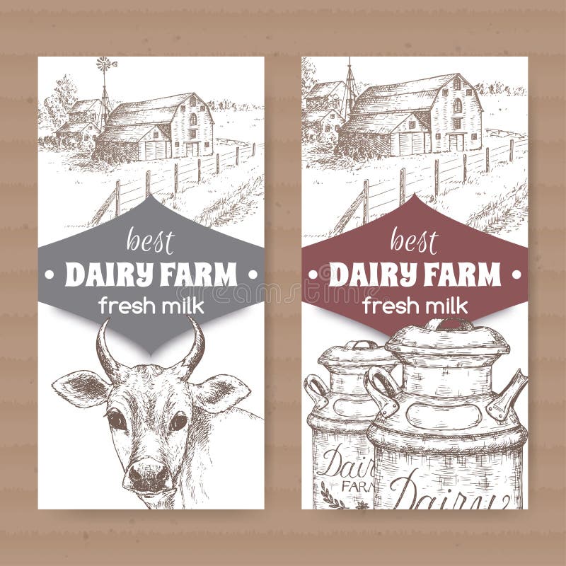 Two Dairy Labels with Farmhouse, Cow, Milk Cans. Stock Vector ...