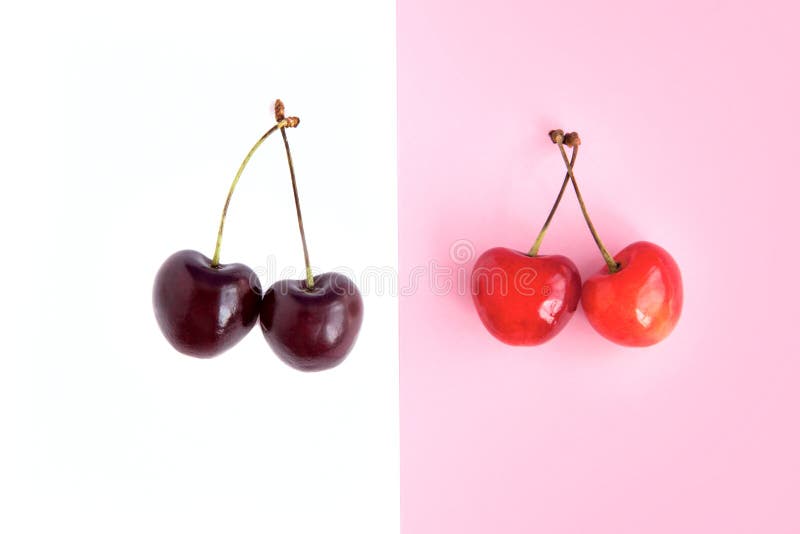Two Dark Cherries and Two Red Cherries on a Trend Background Stock ...