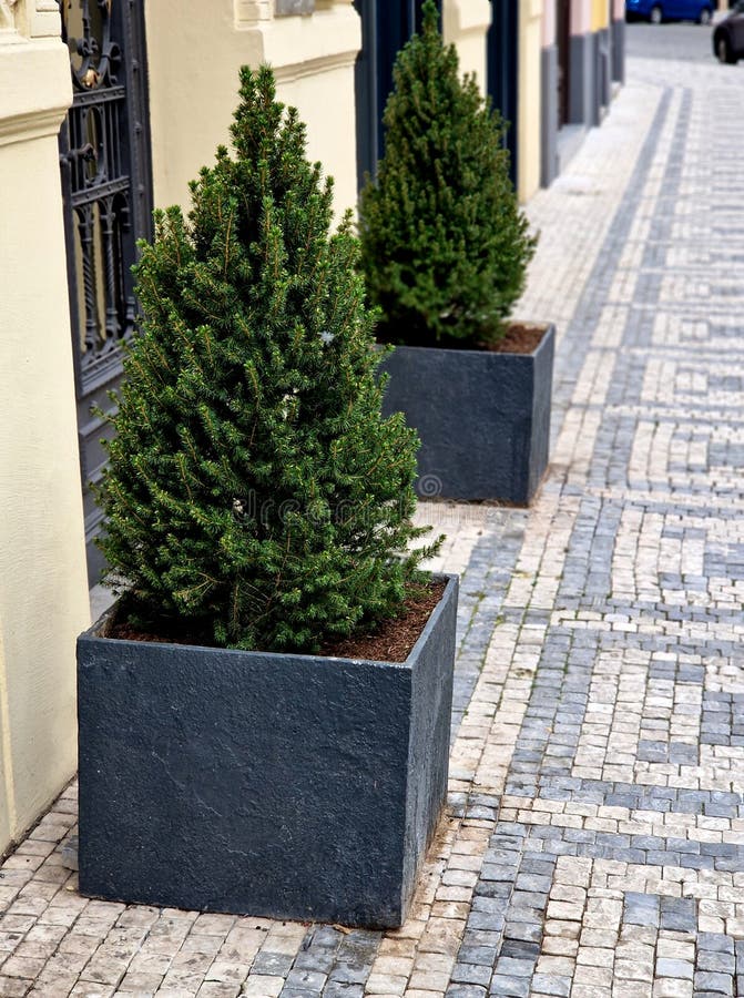 Cone Shaped Flower Pots Stock Photos - Free & Royalty-Free Stock Photos ...