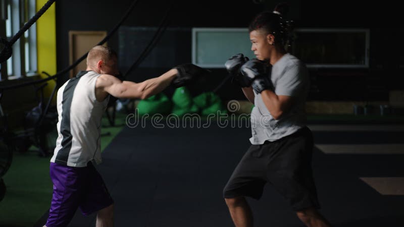 An Intense and Challenging Boxing Training Session Takes Place in the ...