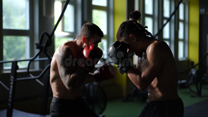Engaging Boxing Training Session Held at the Gym To Improve Skills and ...