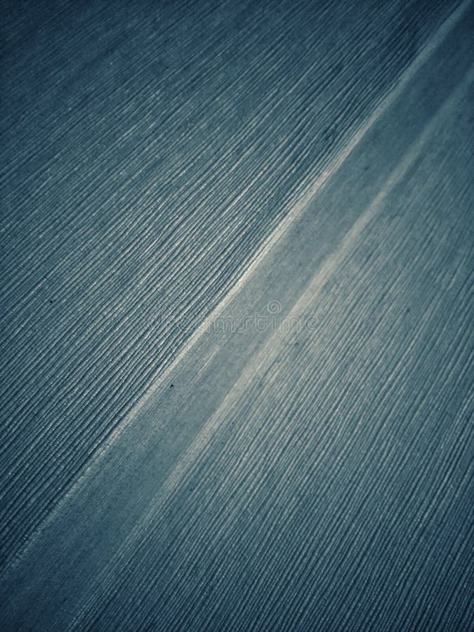 Two Diagonal Lines and Black Textures Stock Image - Image of ...