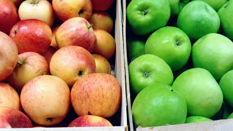 Two Different Apple Varieties at a Fruit Farm. Stock Image - Image of ...