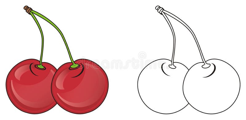 Two different cherry stock illustration. Illustration of pair - 90774059