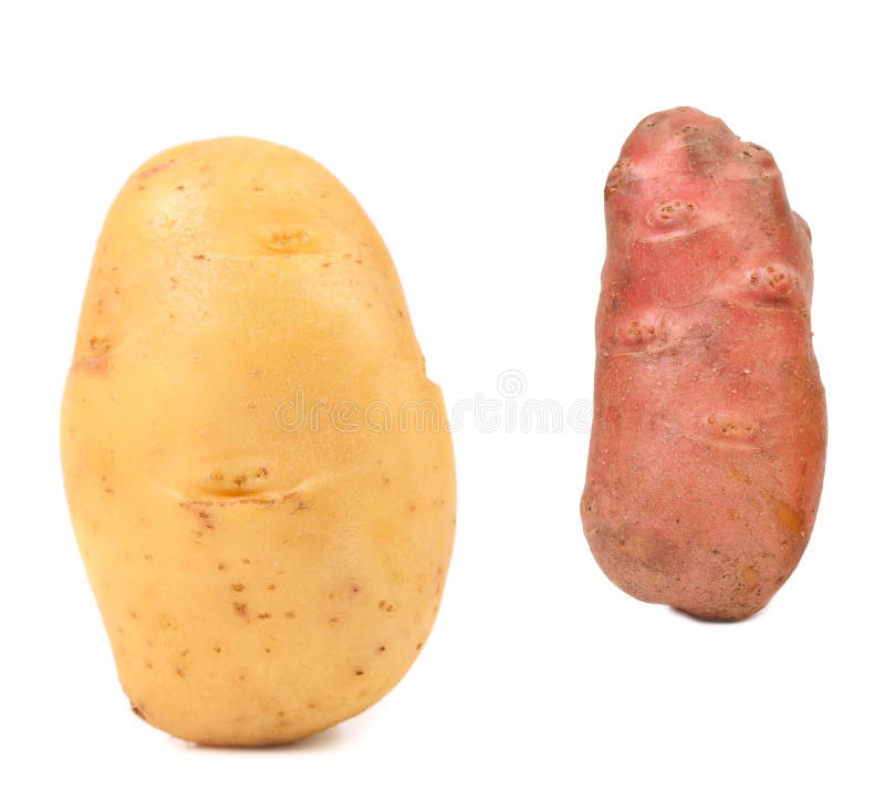 Two Different Fresh Potatoes. Stock Image - Image of diet, root: 35116277