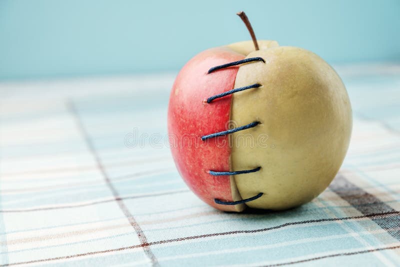 Two Different Halves of Apple Connected by Thread Stock Photo - Image ...