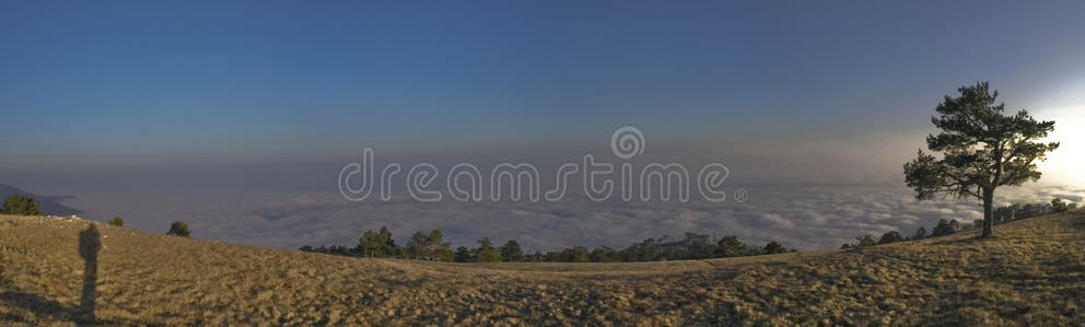 Two different lives stock image. Image of tree, blue, panorama - 5417247