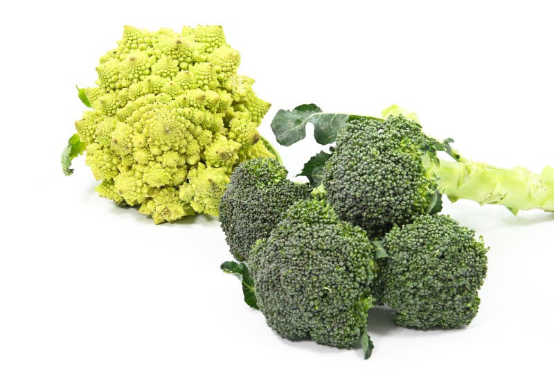 375 Broccoli Varieties Stock Photos - Free & Royalty-Free Stock Photos ...
