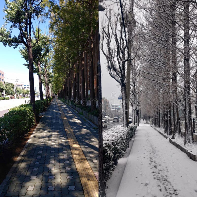 Two Different Ways Winter and Summer Season Stock Photo - Image of ...