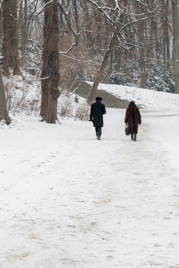 Two Distant People Walking in Snowy Park. Stock Photo - Image of ...
