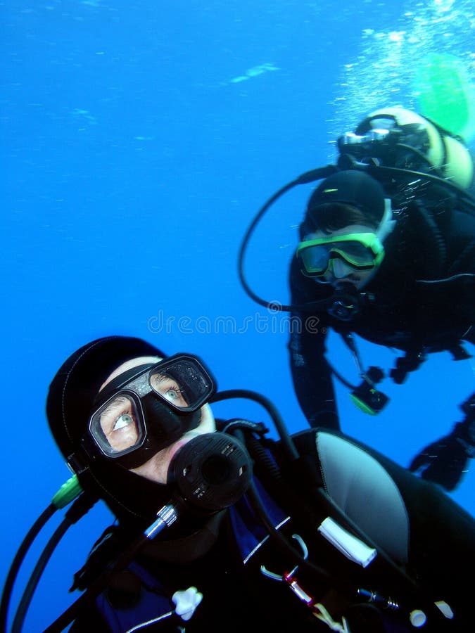 Two divers stock photo. Image of soft, marine, divers - 5363970