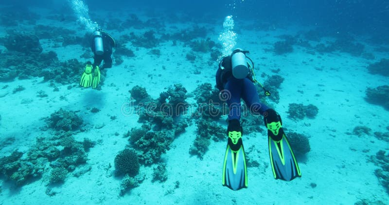 Two Divers Swimming in an Coral Reef. Diving Instructor and Group ...