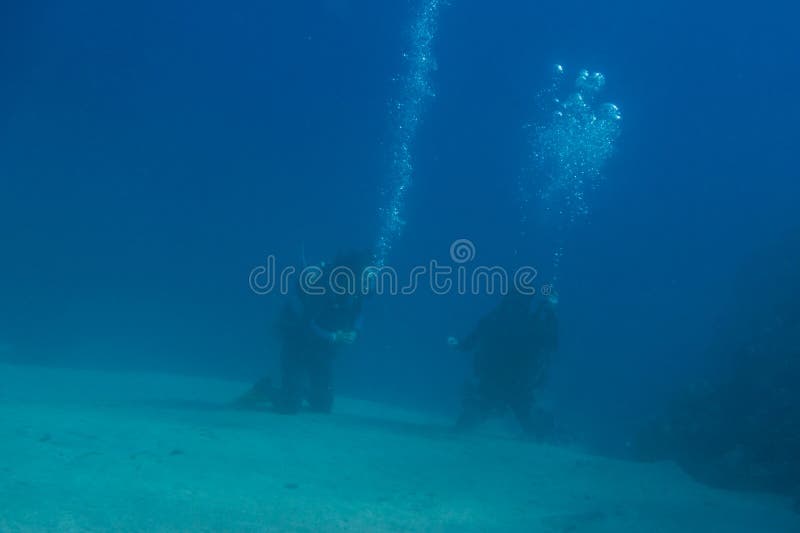 Two Divers at Their Training at the Sandy Seabed in Clear Water Stock ...