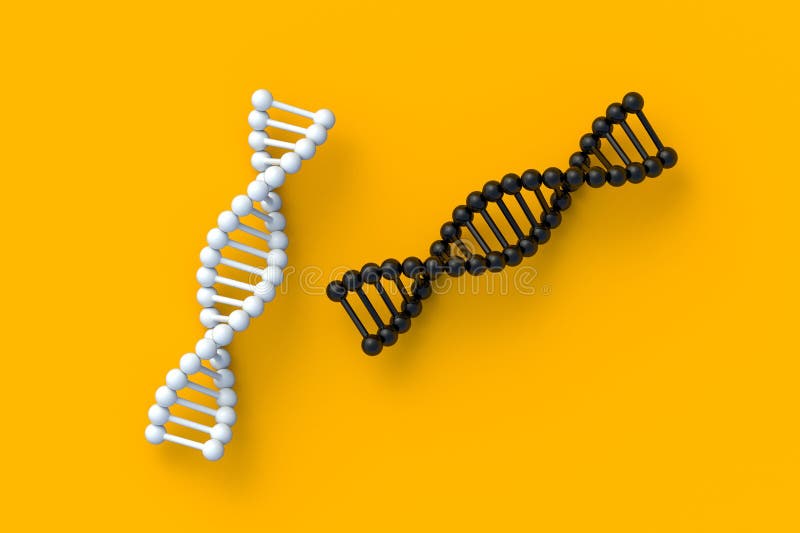 Two DNA Structure on Orange Background. Spiral Molecule Model. Genetic ...