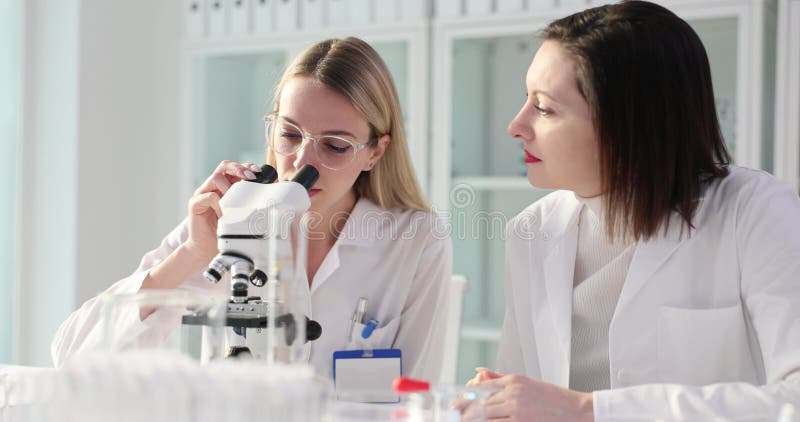 Two Doctor Chemist Scientists are Discussing Project Together in ...