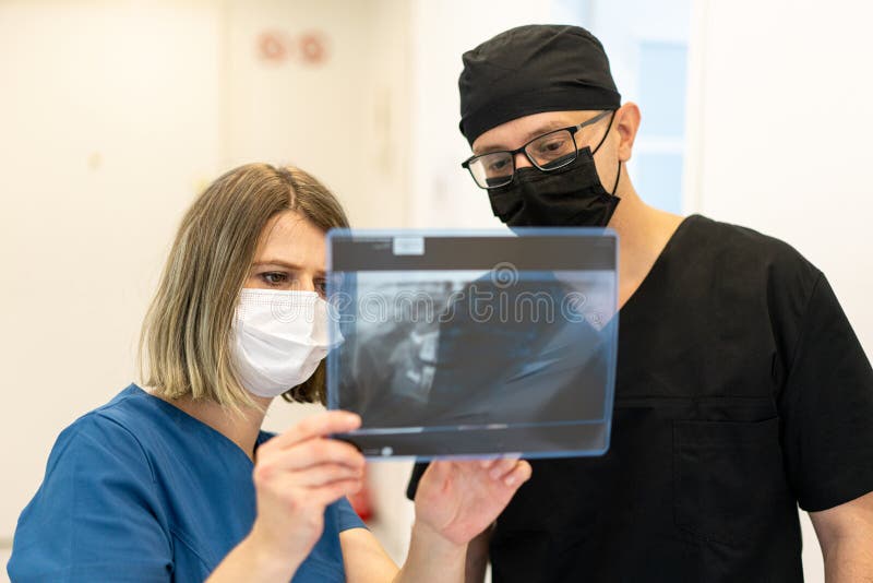 Two Doctors Checking X-ray Image in Hospital, High Quality Photo Stock ...