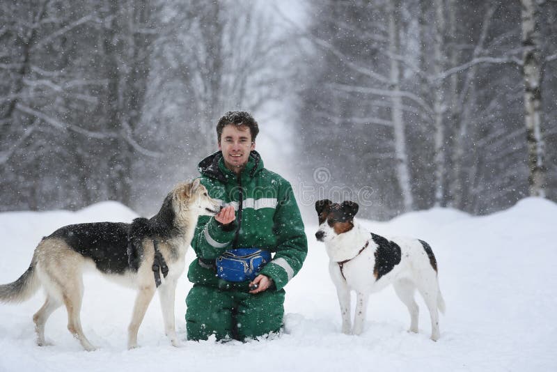 Two Dogs Walk Outdoors in Winter with an Owner Stock Image - Image of ...