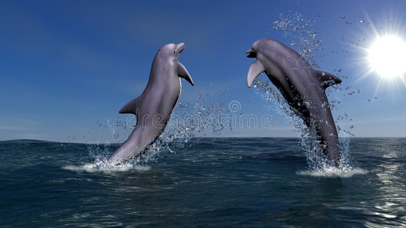 Two dolphins stock image. Image of animals, playful, blue - 51559541