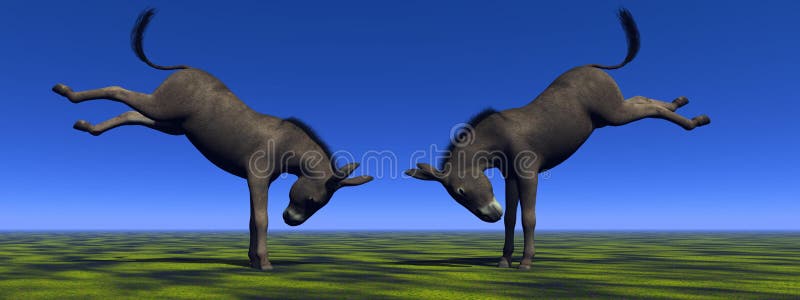 Two donkeys stock illustration. Illustration of close - 30667371