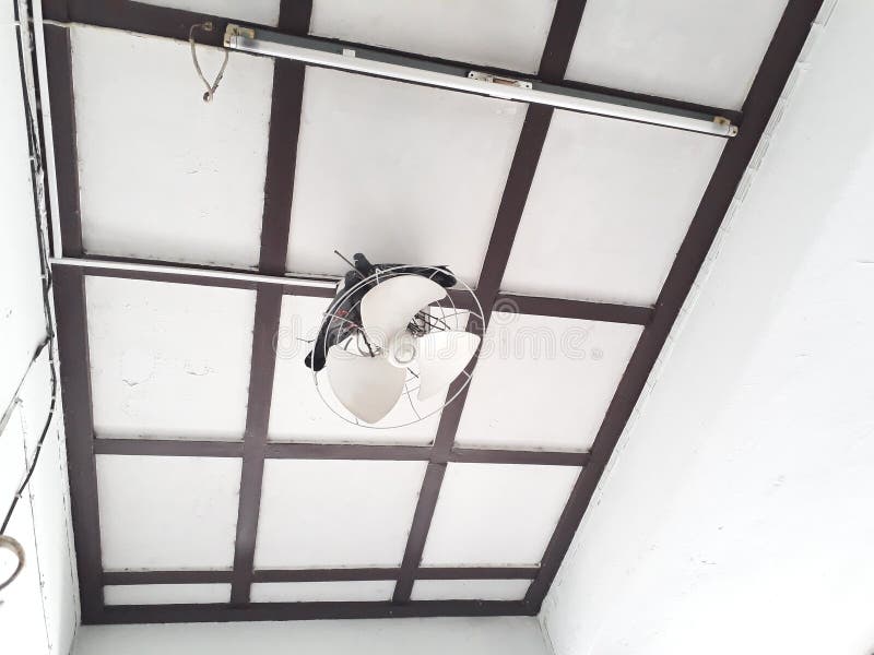 Two Doves, Nesting on a White Ceiling Fan Stock Image - Image of little ...