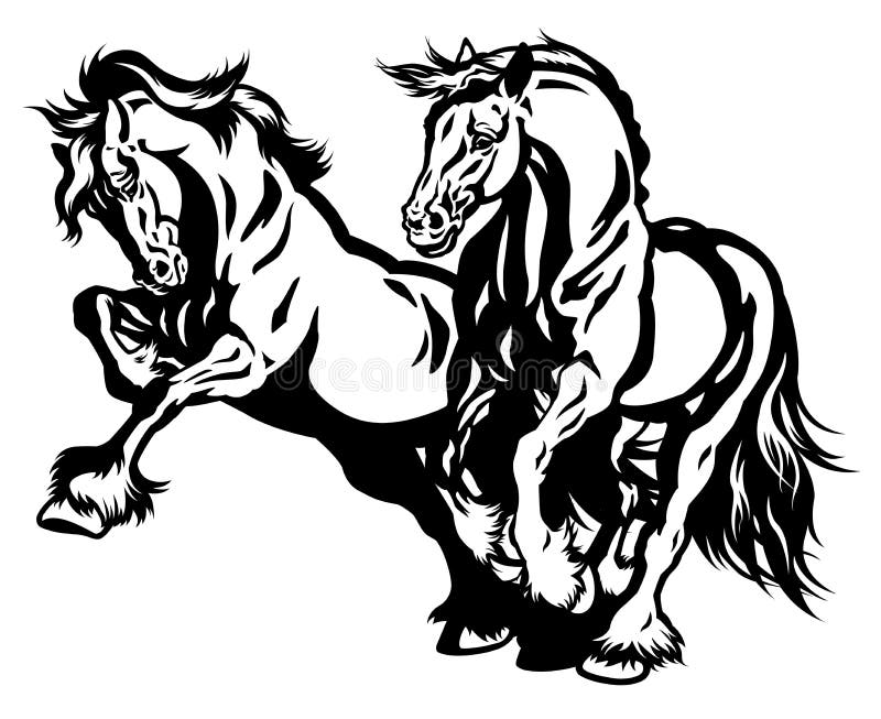 White Draft Horse Breeds