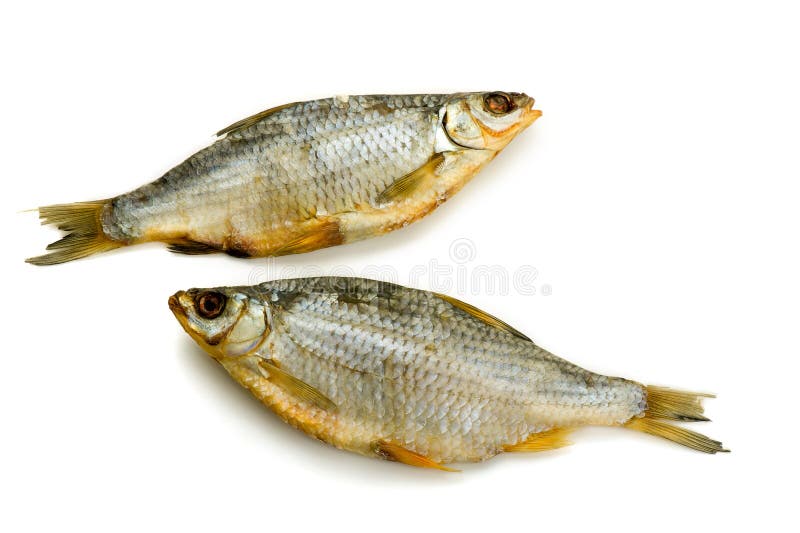 Dried fish stock photo. Image of seafood, gourmet, turkey - 14417800