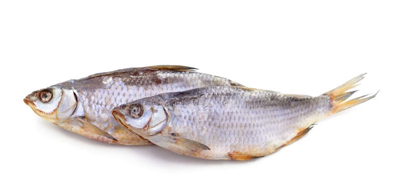 Two dried fish stock photo. Image of meat, ingredient - 165326396