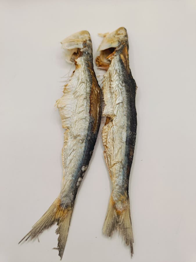 Two Dried Fish Solar or Natural Light Dried Environment Friendly Stock ...
