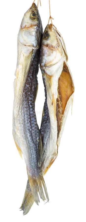 Two Dried Salted Grey Mullet Fishes Stock Image - Image of emboweled ...