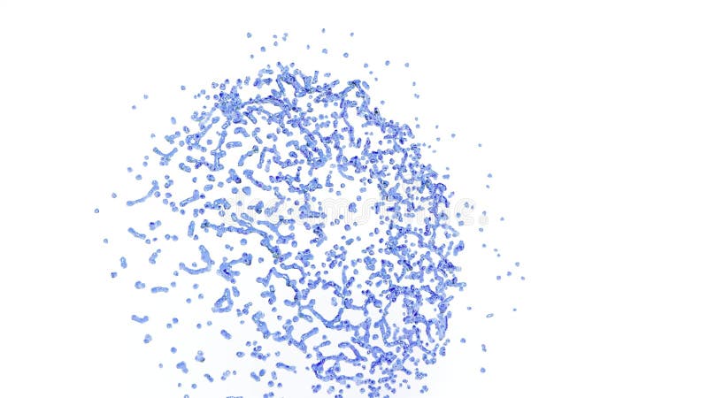 Two Drops Color Splash on White Back 3d Stock Illustration ...