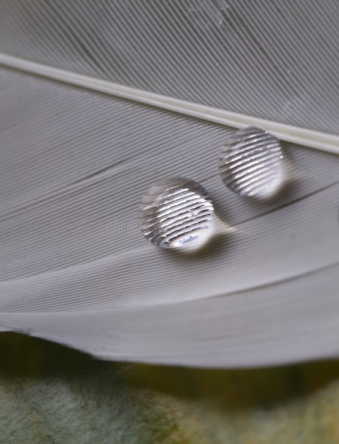 Two drops stock photo. Image of water, drops, closeup - 109889774