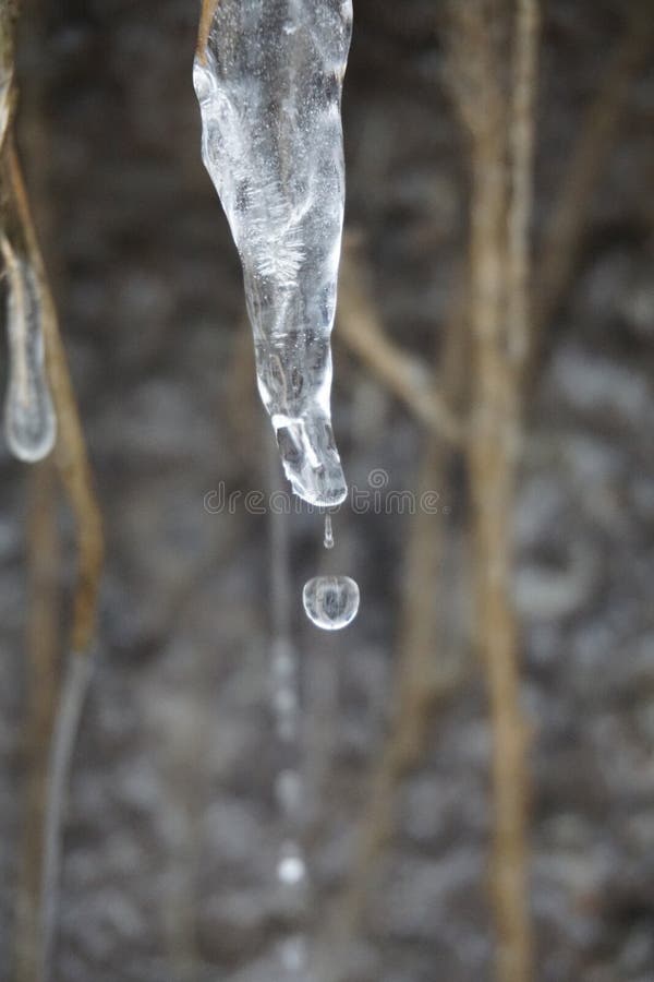 A Two Drops of a Water in Winter. Stock Photo - Image of drop, winter ...