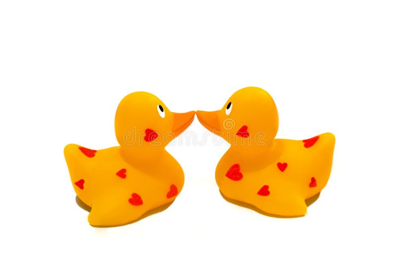 Two Small Ducks Together On A White Background Stock Image - Image of ...