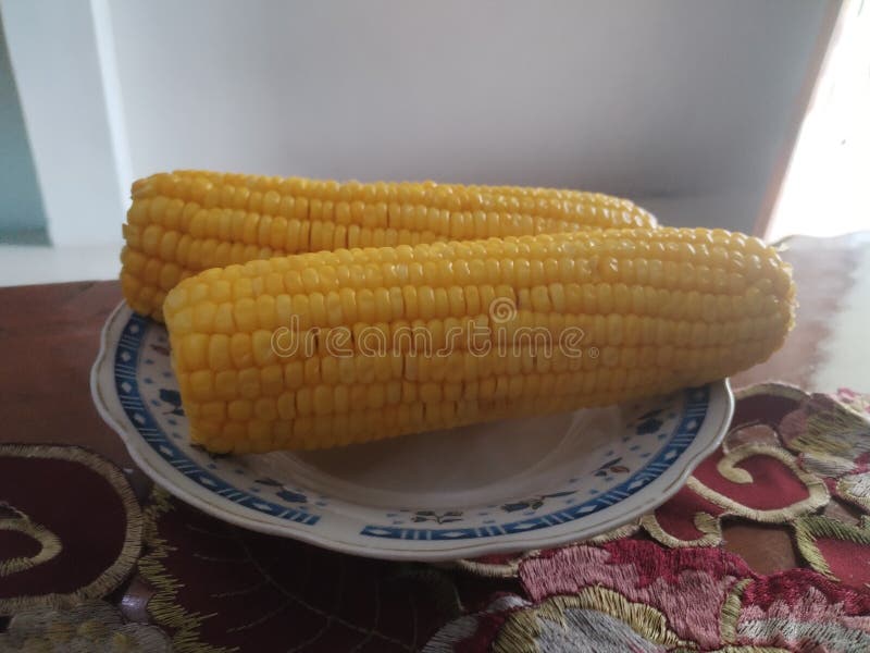 Boiled corn on a plate stock photo. Image of tasty, healthy - 364203794