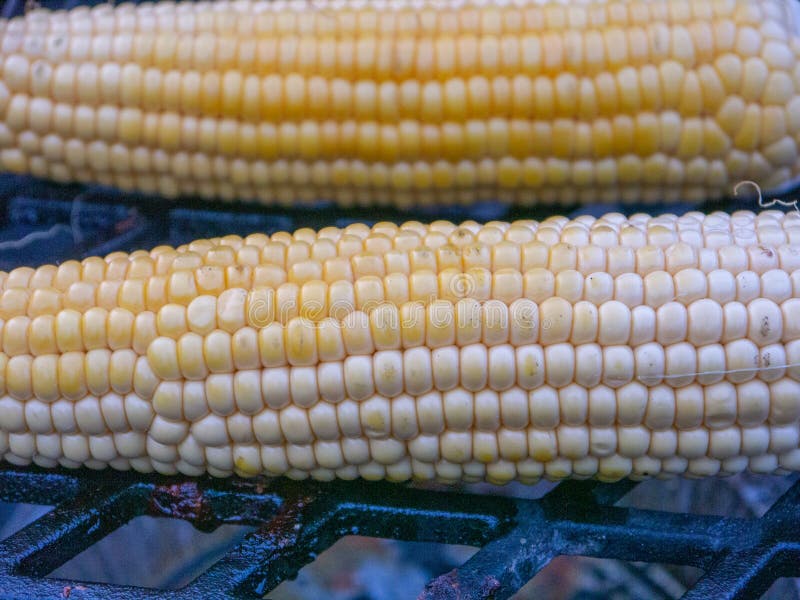 Two Ears of Corn on the Grill Close Side View Stock Photo - Image of ...