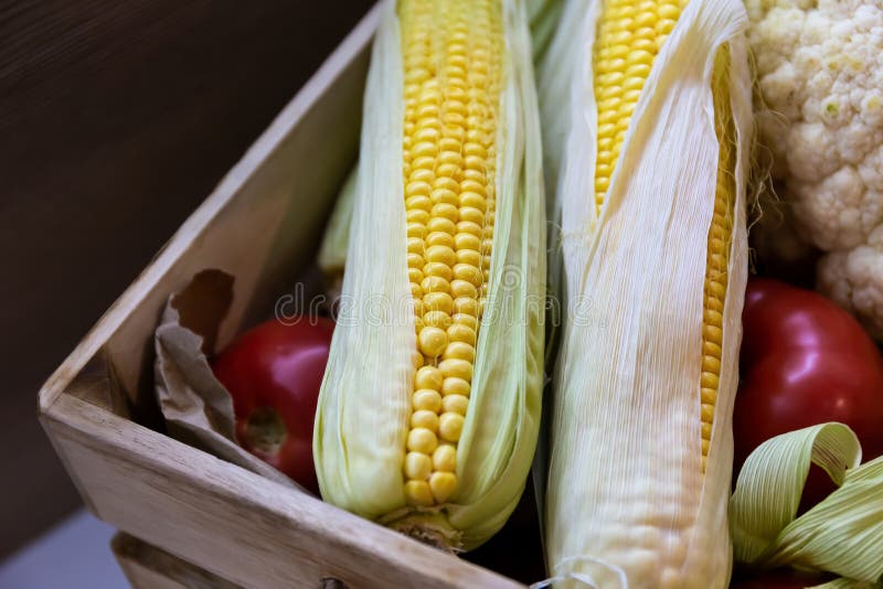 Two Ears of Corn Lie in a Wooden Box Stock Image - Image of food ...