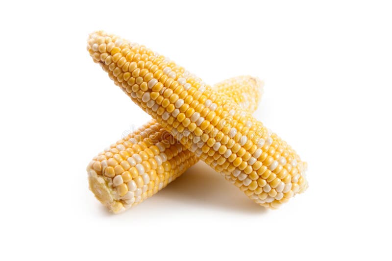 Two Ears of Sweet Corn Isolated on a White Background Stock Photo ...