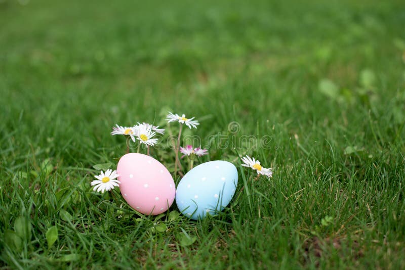 Two Easter Eggs, Ping and Blue, in a Grass Stock Photo - Image of eggs ...