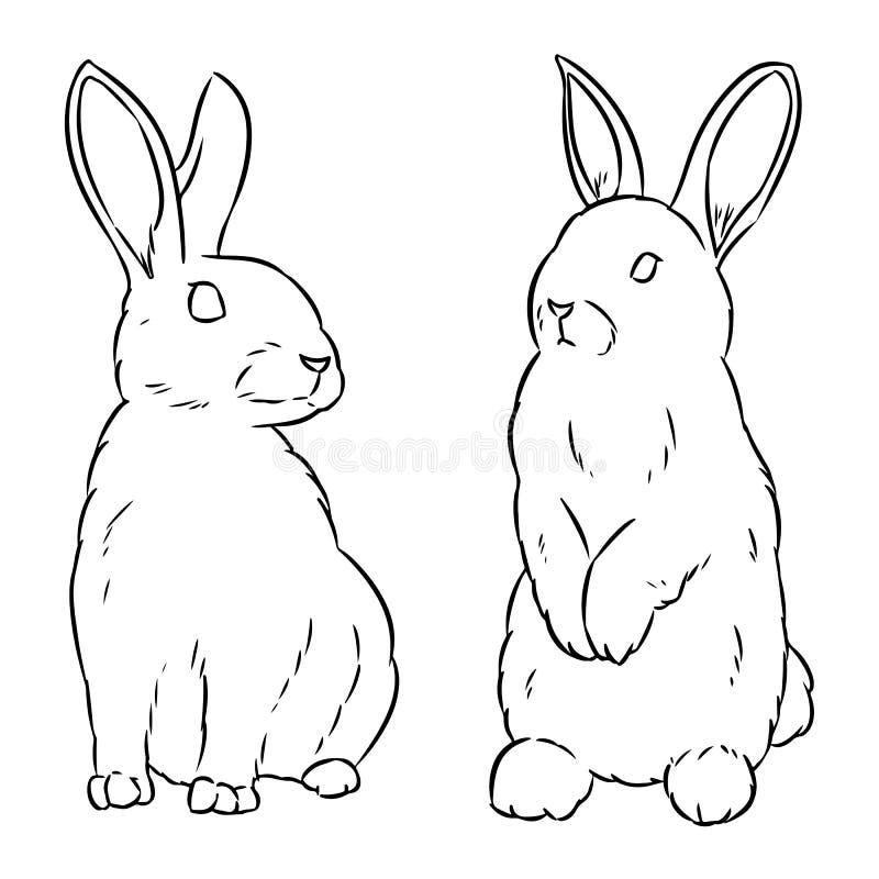 Two Rabbits. Contour Drawing Stock Vector - Illustration of bunny ...