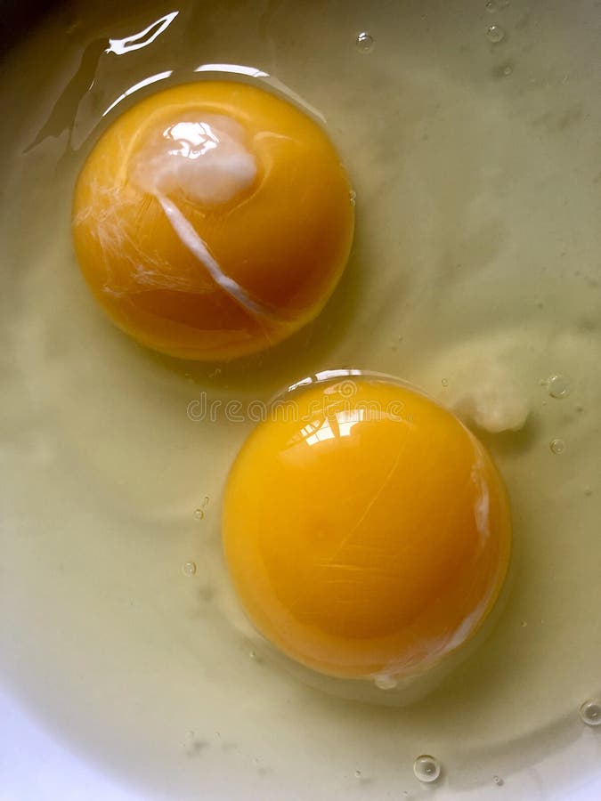 Two egg yolks stock photo. Image of cuisine, delicious - 136886580