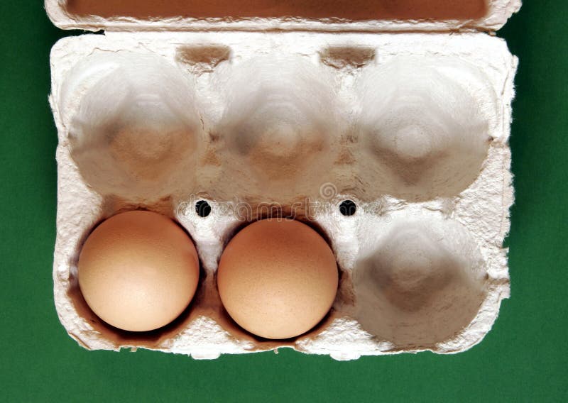 Two Eggs stock photo. Image of green, fragile, cardboard - 1534712